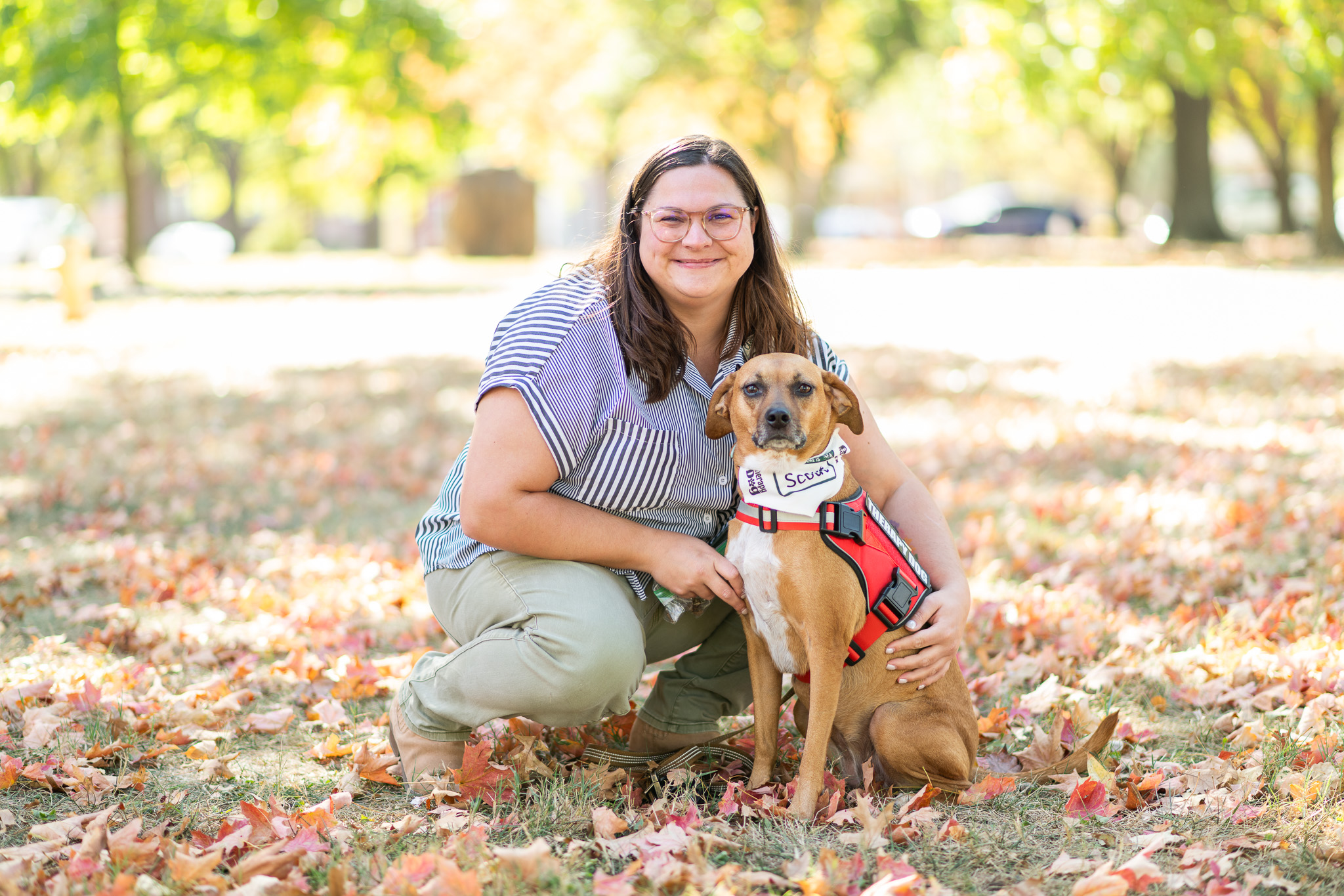 From mutt to healer: Shelter dog now helps PSU students - CHCSEK
